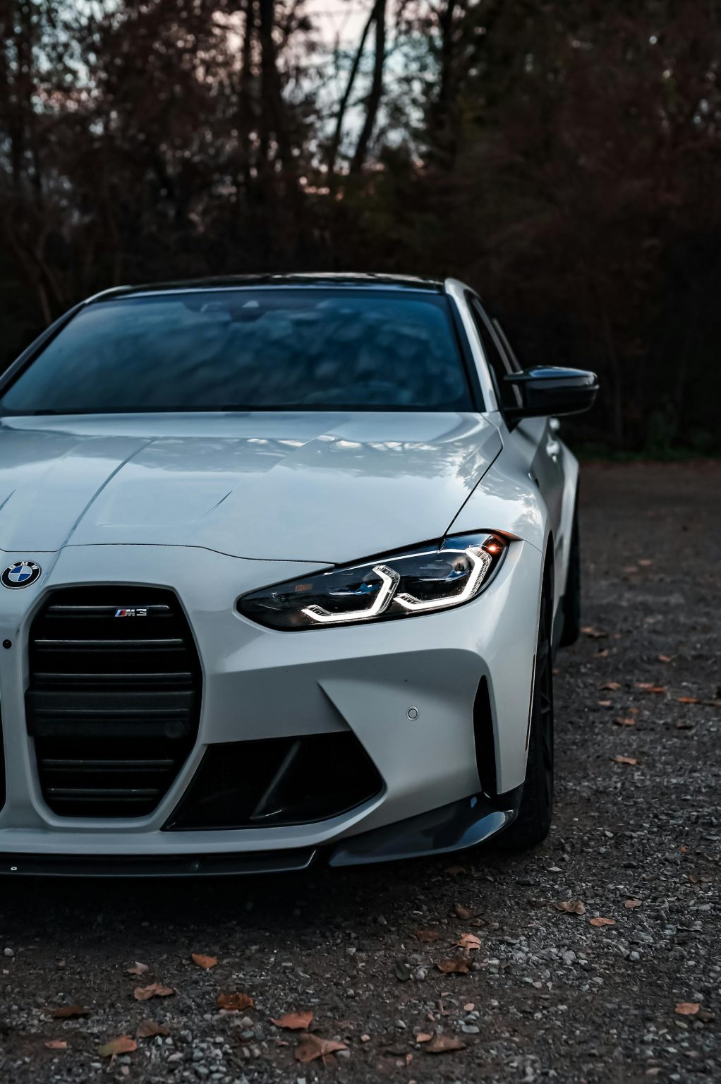 Shiloh – shadeandshineautospa.com